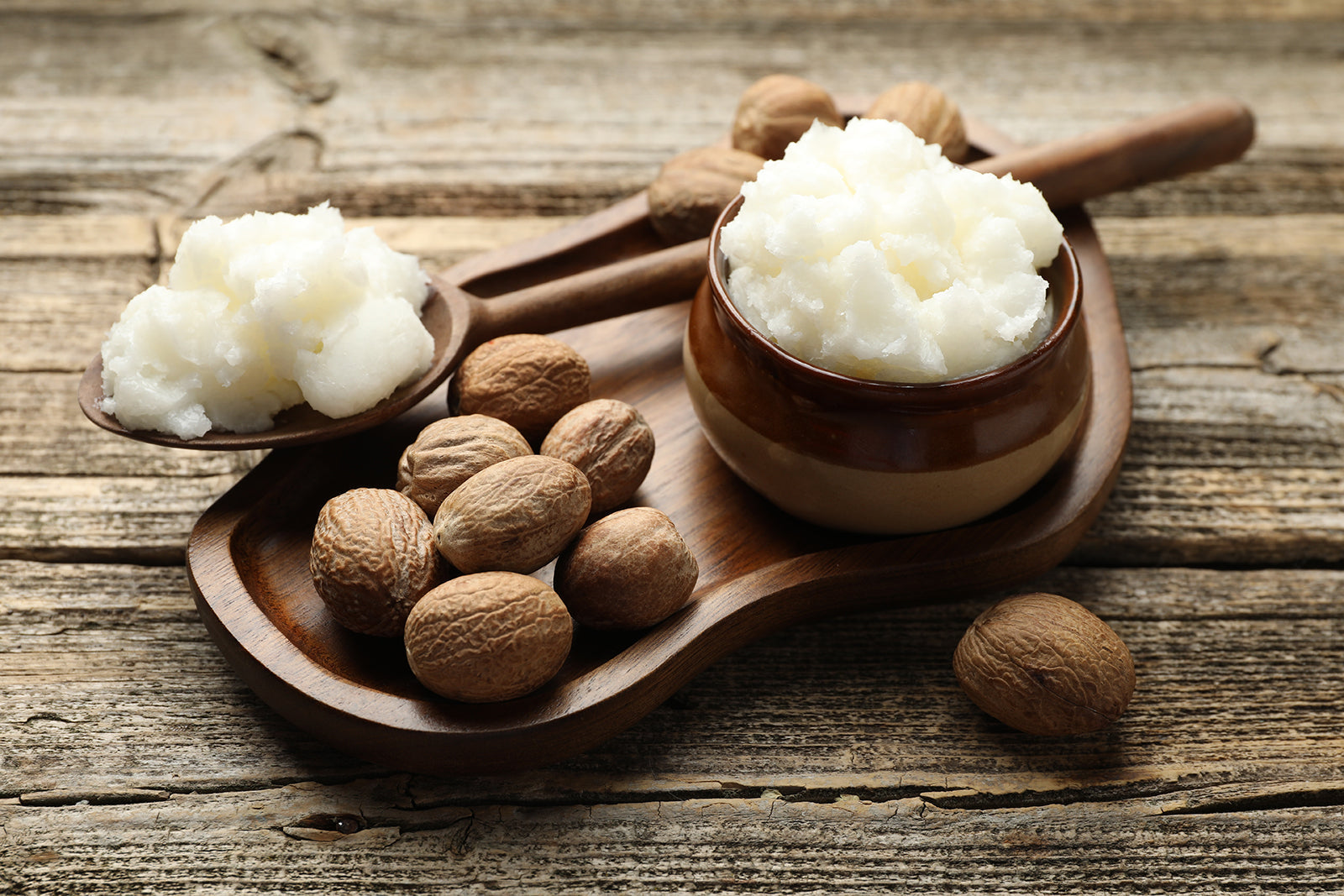 All About Shea Butter – BuShea Butta